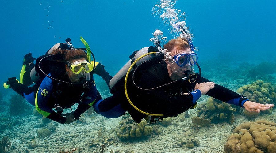 Diving | Tours Mirissa